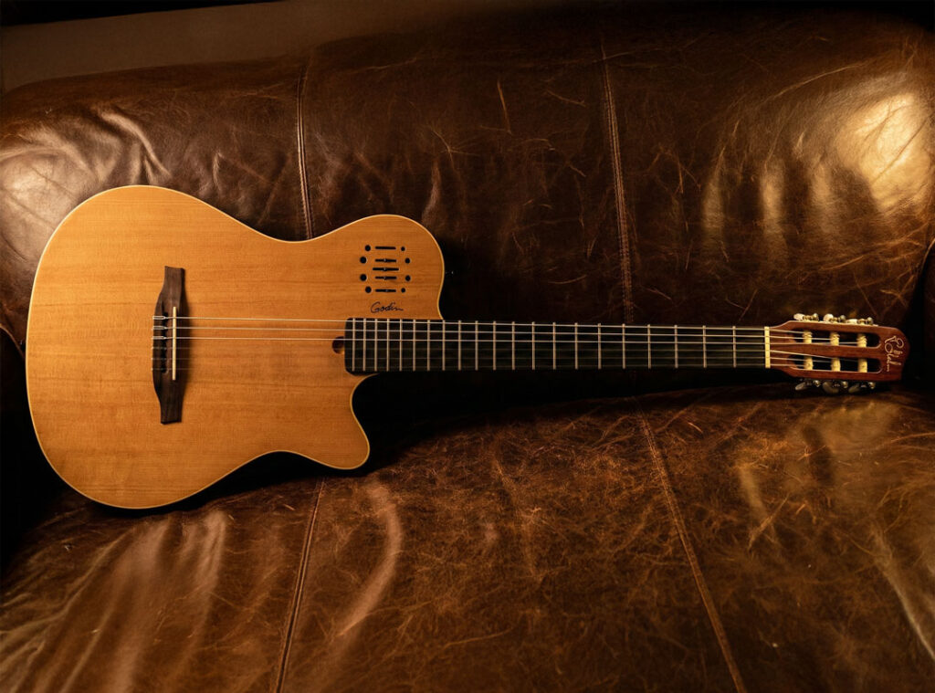 Godin Guitars Official Dealer in Dubai, UAE - Barbad Musical Instruments